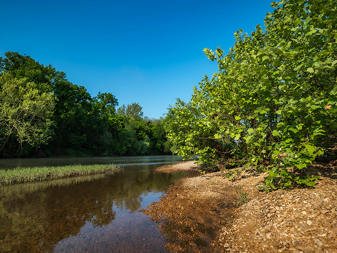 The Meramec River flows gently through the park, offering a serene escape where time seems to slow to match the current's peaceful pace.