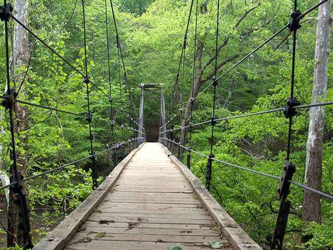 The suspension bridge at Eno River State Park isn't just a crossing&mdash;it's an invitation to adventure that sways ever so slightly with each step.