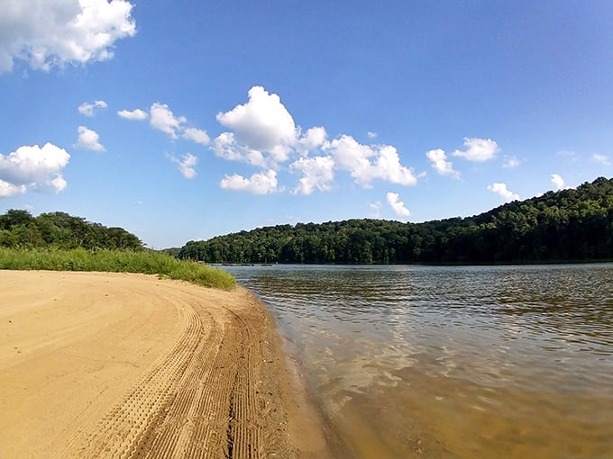 Nature's perfect canvas unfolds at Salt Fork State Park, where the shimmering lake meets verdant shorelines under an impossibly blue Ohio sky.