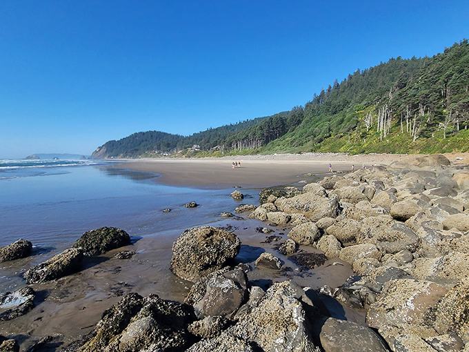 Where the forest meets the sea in perfect harmony. Cape Lookout's pristine shoreline stretches for miles, offering solitude that's increasingly rare in our Instagram-saturated world.