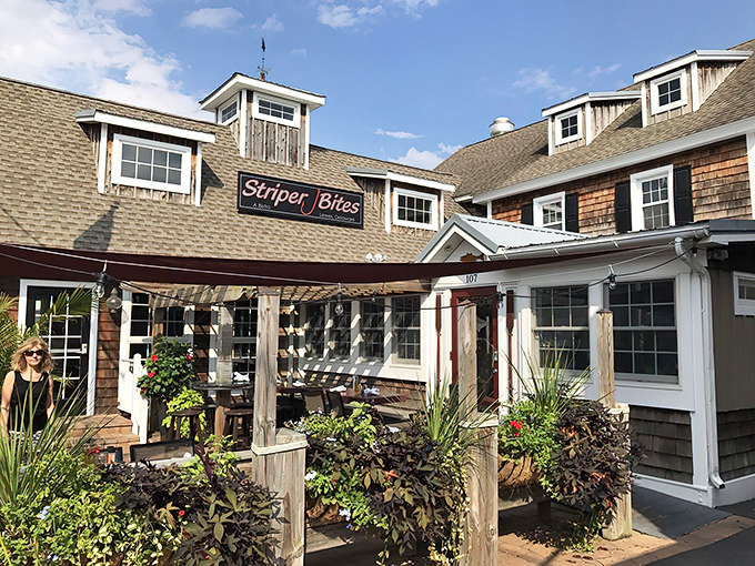 Striper Bites' cedar-shingled exterior feels like a coastal hug, with its welcoming porch and lush greenery inviting you to kick back and stay awhile.