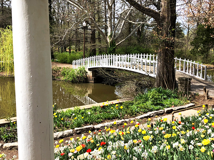 1. you haven&rsquo;t lived until you&rsquo;ve explored this stunning arboretum hiding in kansas