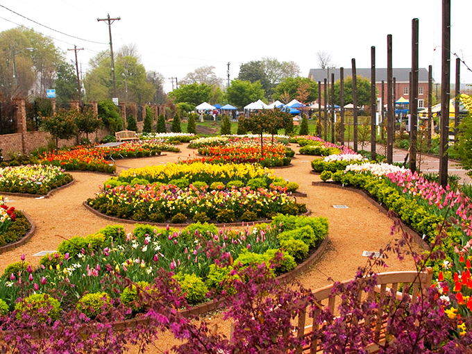 The elegant brick visitor center stands sentinel over a geometric paradise of boxwood hedges and golden daffodils&mdash;nature's version of architectural perfection.