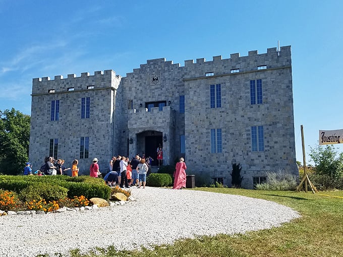 The stone facade of Clayshire Castle rises majestically from the Indiana countryside, proving that you don't need a passport to feel like royalty for a weekend.