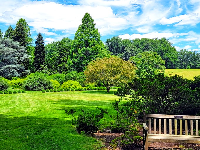 The perfect lawn doesn't exi— Oh wait, it does! Winterthur's meticulously manicured grounds invite you to kick off your shoes and feel nature's plushest carpet beneath your toes.