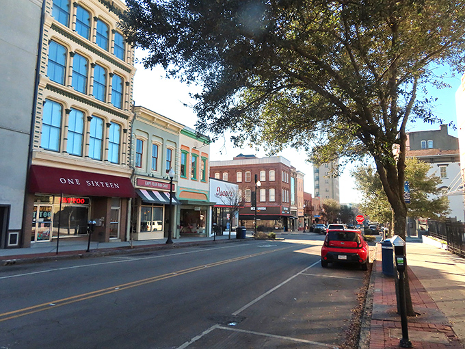 Wilmington's historic downtown showcases its architectural splendor, where stately columns and brick facades tell stories of a bygone era.