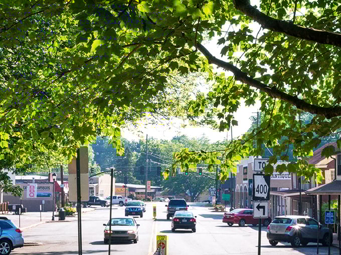 Tree-lined streets welcome you to Dahlonega's charming downtown, where time slows down and Southern hospitality flows as freely as sweet tea.