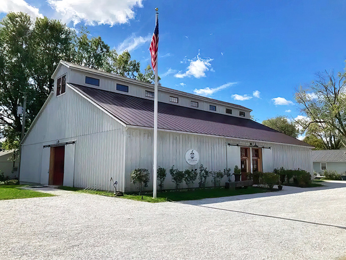 The soaring wooden beams of this converted barn create a cathedral-like space where automotive history comes to life beneath warm, natural light.