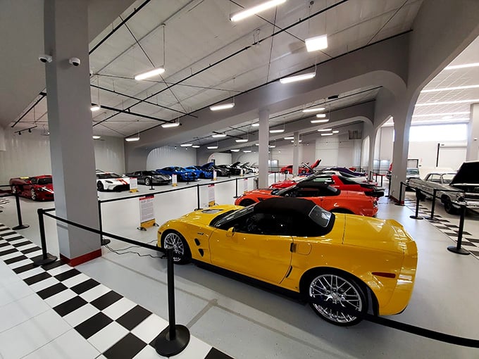 Under the hood of automotive excellence: A pristine engine compartment reveals the mechanical heart of these rolling masterpieces, where engineering meets artistry.