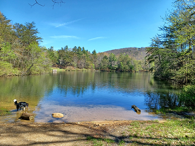 Mother Nature awaits at Fort Mountain's overlook, where even the most devoted couch potatoes will find themselves suddenly inspired to contemplate life's big questions.