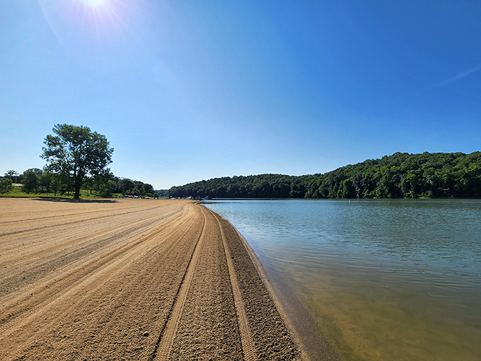Nature's perfect canvas unfolds at Salt Fork State Park, where the shimmering lake meets verdant shorelines under an impossibly blue Ohio sky.