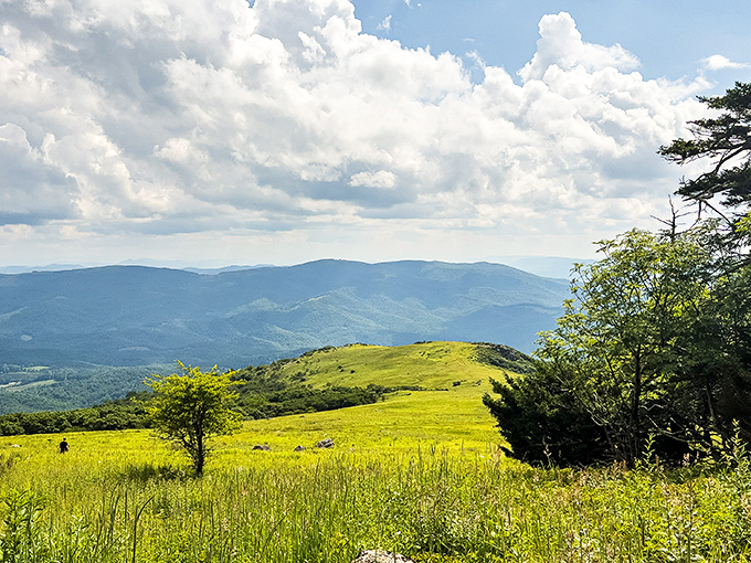 The highlands stretch before you like nature's welcome mat &ndash; miles of open meadows where the only traffic jams involve wild ponies deciding who gets the best grass.