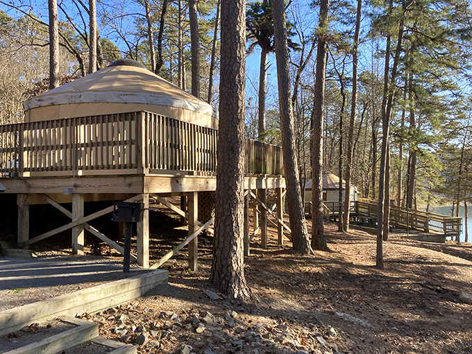 Yurt glamping at its finest &ndash; where "roughing it" still includes a solid roof and actual walls.