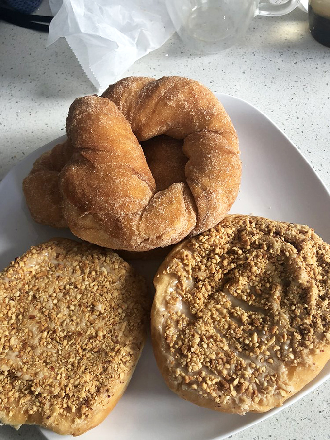 The cinnamon sugar donut—humble royalty in the pastry kingdom. Its simple appearance belies the complexity of its perfect execution.