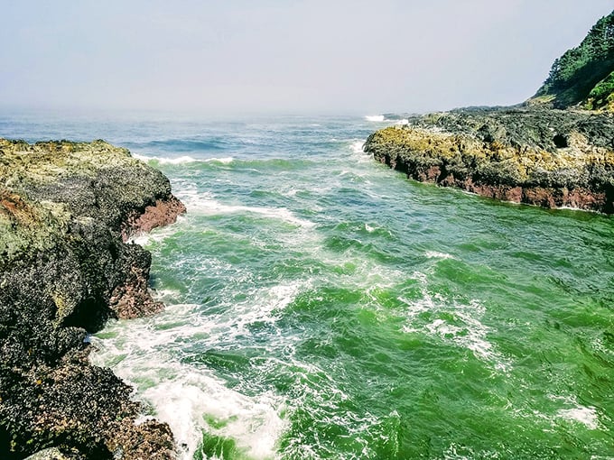 The rocky inlets create nature's perfect cocktail shaker, mixing emerald waters and white foam into something far more intoxicating than anything found behind a bar.