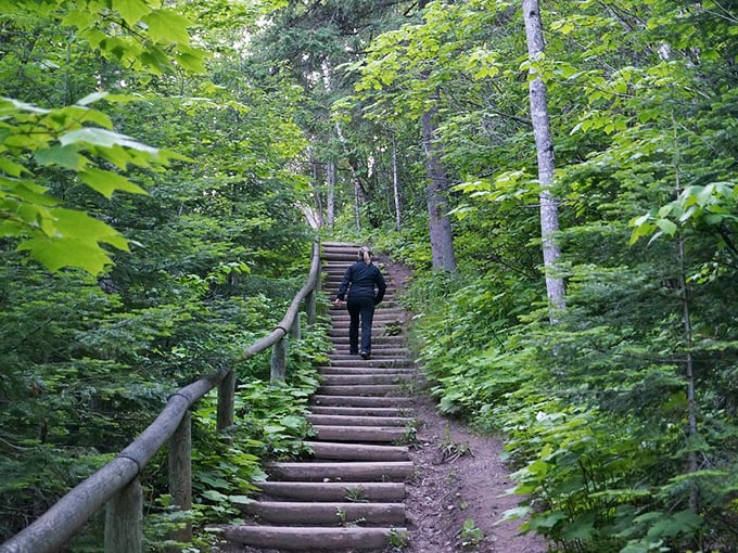 The forest trails around Grand Marais don't just lead somewhere; they lead you back to yourself, one wooden step at a time.