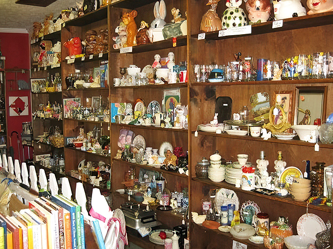 Shelves upon shelves of ceramic creatures and forgotten treasures&mdash;a porcelain zoo where every piece has outlived its original owner.