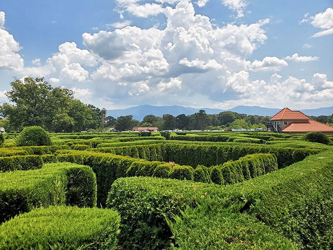 The Garden Maze offers hedges meticulously sculpted into puzzles. Like getting lost in a green labyrinth where GPS surrenders and your sense of direction gets thoroughly humbled.