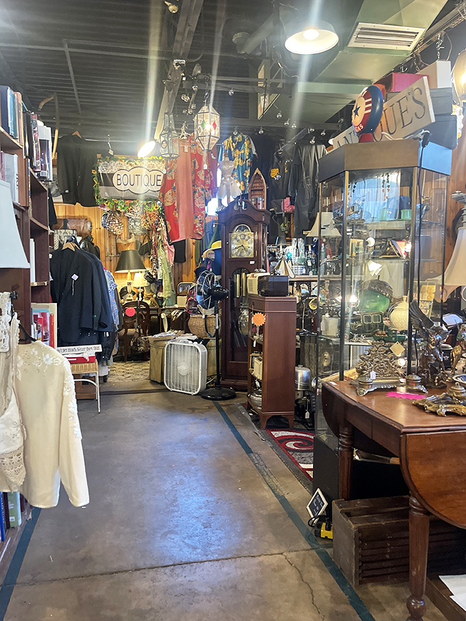 The ultimate narrow path for dedicated browsers. This corridor represents the fine line between "just looking" and "accidentally building a collection."