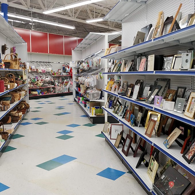 Aisles wide enough for cart-passing create a surprisingly pleasant shopping experience, unlike the claustrophobic thrift stores of yesteryear.