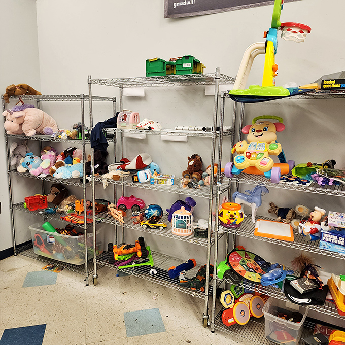 The toy section's metal shelves hold childhood memories waiting to be rediscovered by a new generation of imaginative minds.