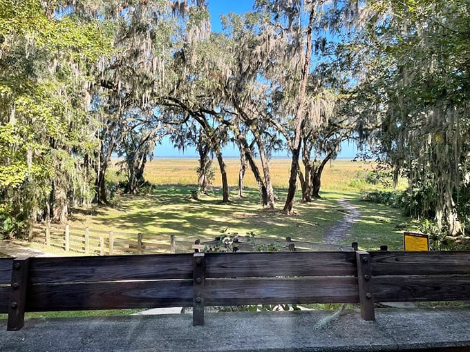 Nature frames its own masterpiece here, where moss-draped oaks part to reveal the golden prairie stretching toward forever.