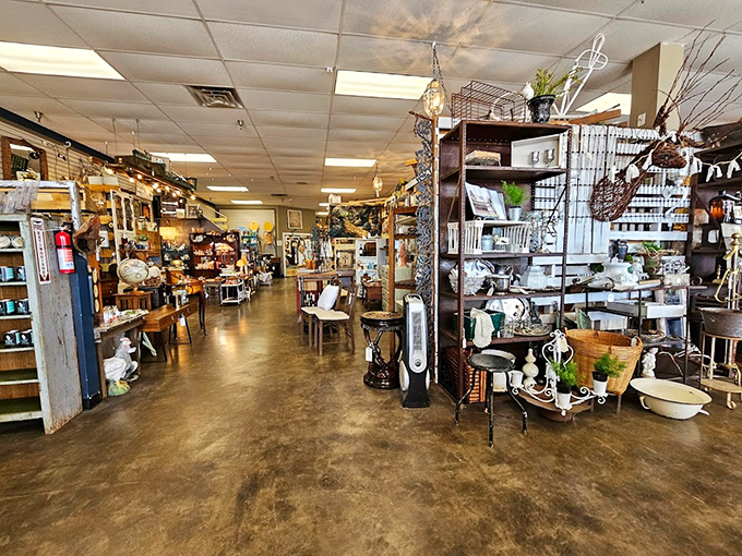 Wide aisles filled with carefully curated treasures prove that at Decades Revisited, getting lost is half the adventure.