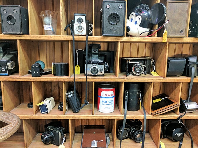 A photographer's dream collection&mdash;when cameras were mechanical marvels and film development felt like Christmas morning every time.