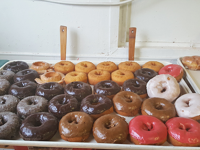 A colorful battalion of donuts standing at attention, ready for duty. Chocolate, glazed, and strawberry reporting for breakfast service!