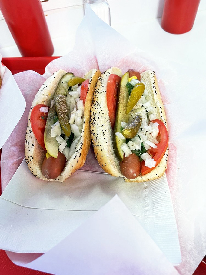 This isn't just food; it's cultural heritage on a bun. Every element of the Chicago dog placed with surgical precision.