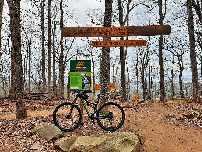 Mountain biking trails that promise more twists and turns than the last season of your favorite show, with significantly better views between commercial breaks.