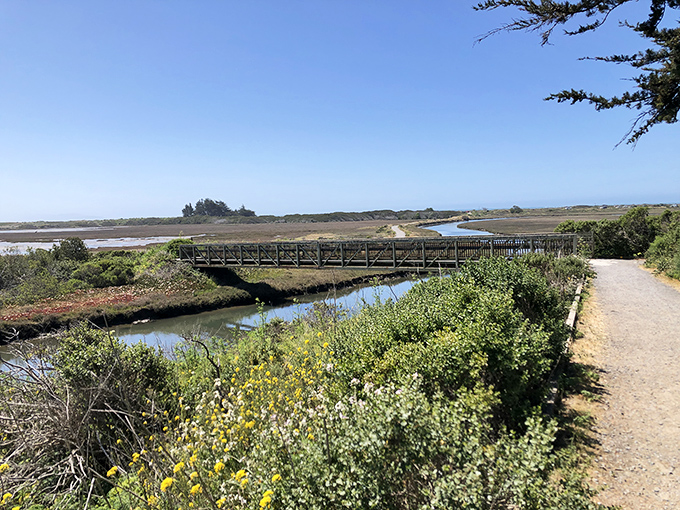 The Birdwalk Coastal Access Trail offers California's version of a perfect day&mdash;wildflowers, wetlands, and not a single email notification in sight.