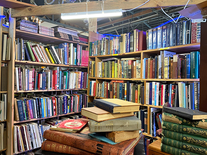 A bibliophile's dream corner where leather-bound classics mingle with paperback pulp&mdash;each spine a portal to another time and place.