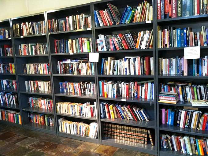 Books stacked like patient time travelers, each spine a portal to someone else's imagination waiting for your discovery.