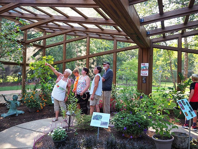 Inside this glass dome, butterflies live better than most humans. It's like a five-star resort for creatures weighing less than a paperclip.