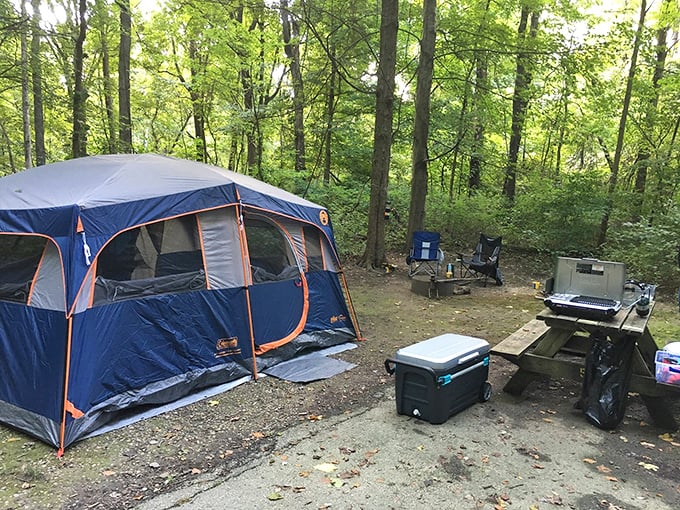 Home sweet temporary home! This campsite setup might not have room service, but it offers something better&mdash;front-row seats to nature's greatest show.