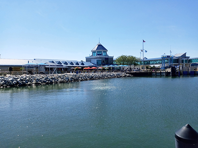 The Cape May-Lewes Ferry terminal sparkles on a picture-perfect Delaware day. This nautical gateway connects two states while offering waterside dining that's worth missing the boat for.