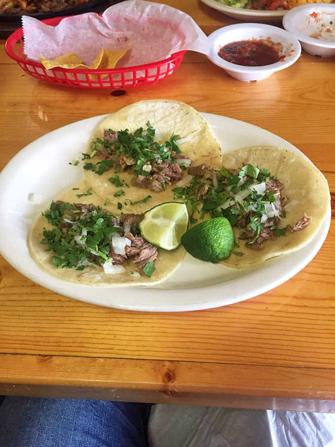 These carnitas tacos showcase the beautiful simplicity of Mexican street food—tender pork, fresh cilantro, and diced onion on soft corn tortillas awaiting lime's bright finish.