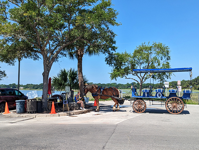 Horse-drawn carriages aren't just transportation &ndash; they're time machines that clip-clop you back to a more genteel era.