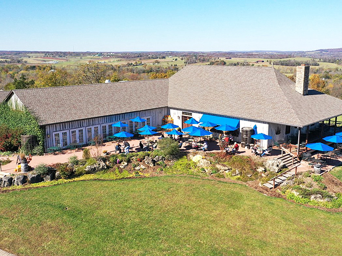 Chaumette Vineyards offers panoramic views that rival the wine itself. Their terrace seating invites visitors to savor both Missouri wines and rolling hillside vistas.