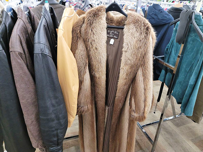 That fur coat has seen more interesting parties than most of us ever will. Vintage outerwear waiting for its next adventure.