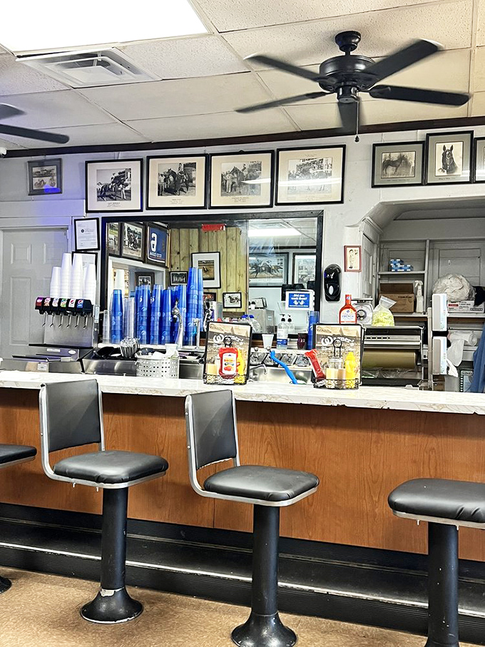 The counter seats—where racing deals are made, tips are shared, and coffee keeps flowing like winning tickets on Derby day.