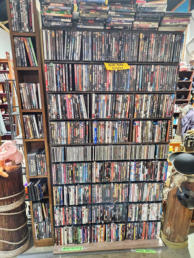 Remember when movies came in plastic cases? This DVD collection is a time capsule of rainy weekend entertainment before streaming.