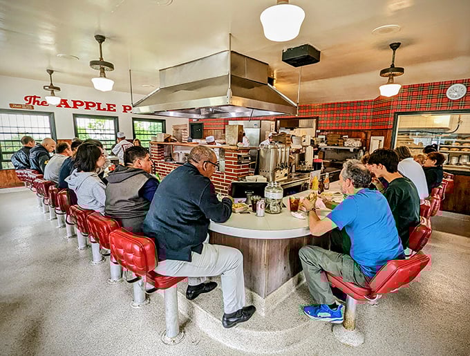 The counter creates a community of strangers sharing nothing but excellent taste and the mutual understanding that some things shouldn't change.