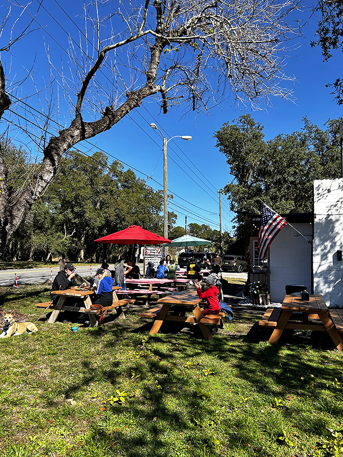 Under Florida's blue skies, strangers become friends over shared tables and the universal language of "mmm" and "pass the sauce."