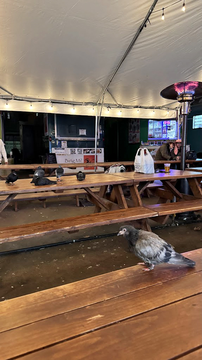 Even the local pigeons know where the good food is. This covered dining area offers shelter for humans and birds with equally good taste.
