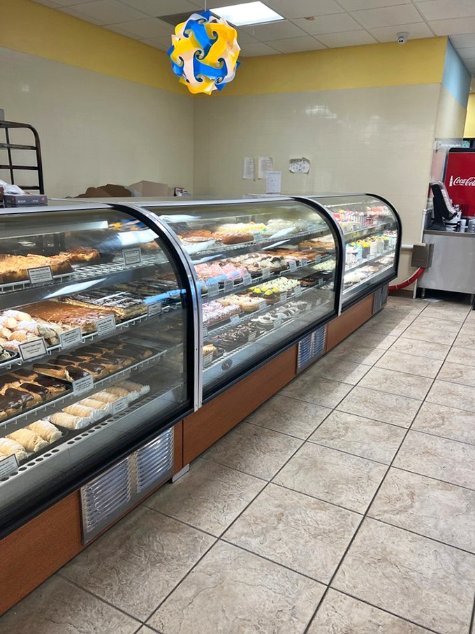 The display case at Moreno's&mdash;where dreams are stacked in neat rows and willpower goes to die. Each shelf offers a different path to happiness.