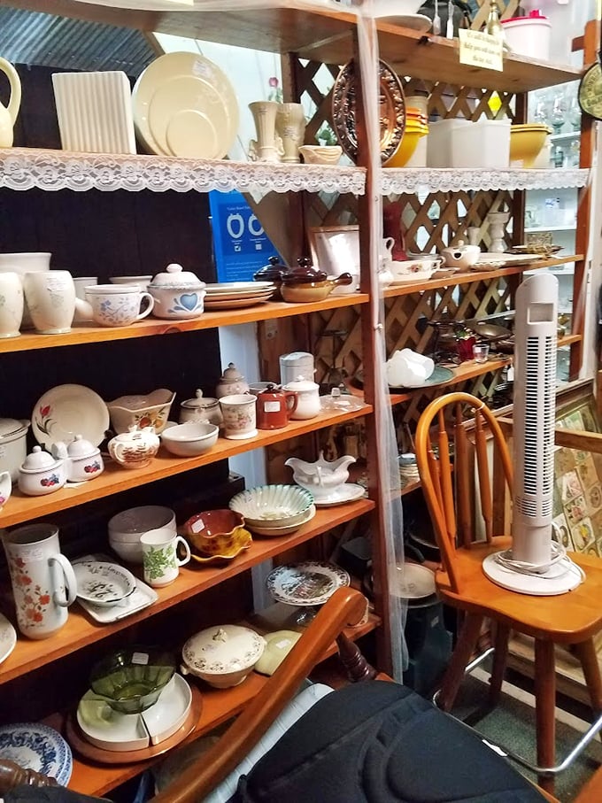 Grandmother's kitchen, meticulously preserved. Each teacup and saucer waits patiently for someone who recognizes the pattern from Sunday dinners long ago.