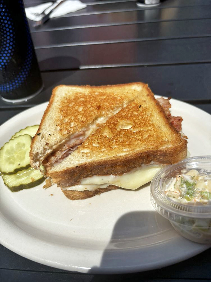 This grilled cheese isn't messing around. Perfectly bronzed bread, melty cheese, and that pickle spear standing guard like it means business.