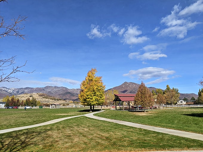 Hamlet Park's crisscrossing paths and mountain backdrop create the perfect setting for contemplative walks or impromptu cartwheels—your choice.